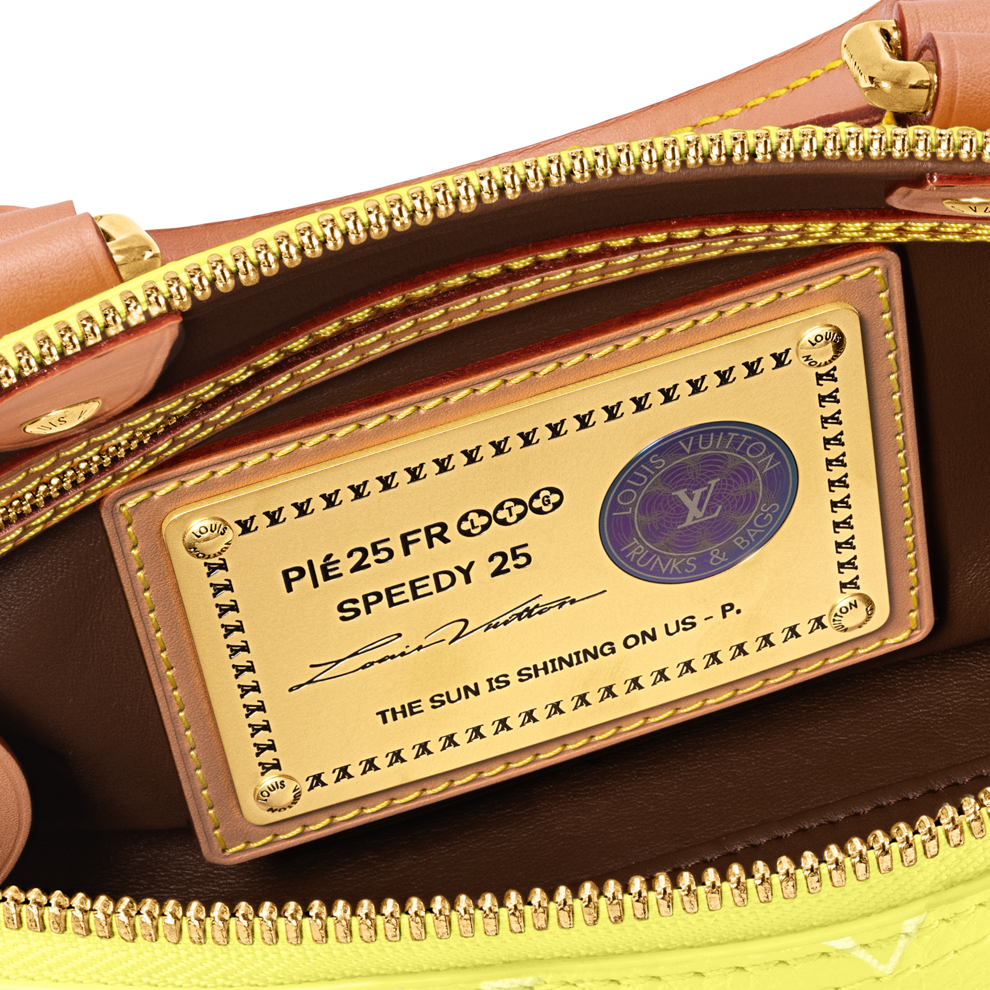 Bolsa Speedy P9 Bandoulière 25 H40 - Bolsas e Artigos de Viagem | LOUIS ...