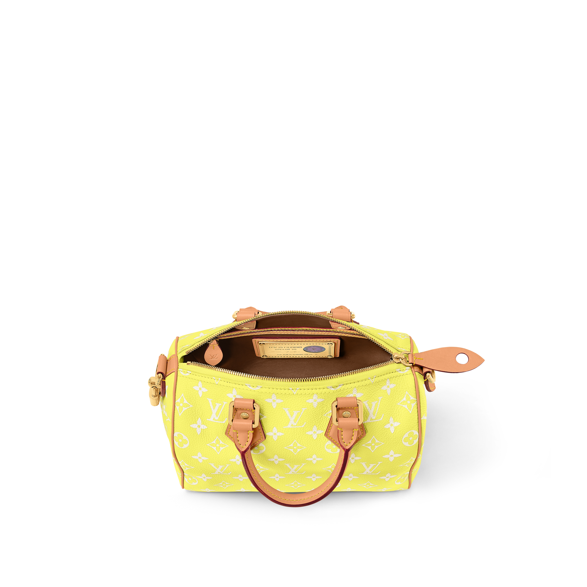 Bolsa Speedy P9 Bandoulière 25 H40 - Bolsas e Artigos de Viagem | LOUIS ...