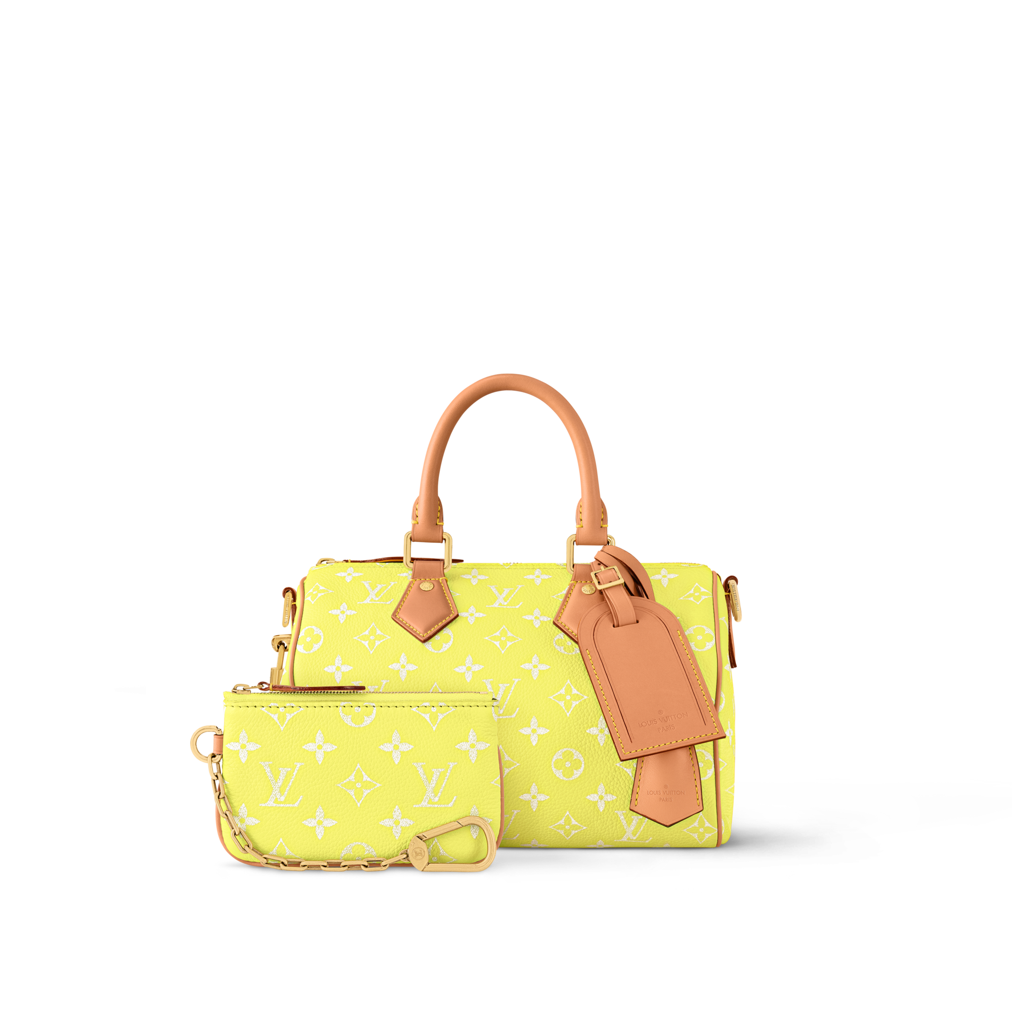 Bolsa Speedy P9 Bandoulière 25 H40 - Bolsas e Artigos de Viagem | LOUIS ...