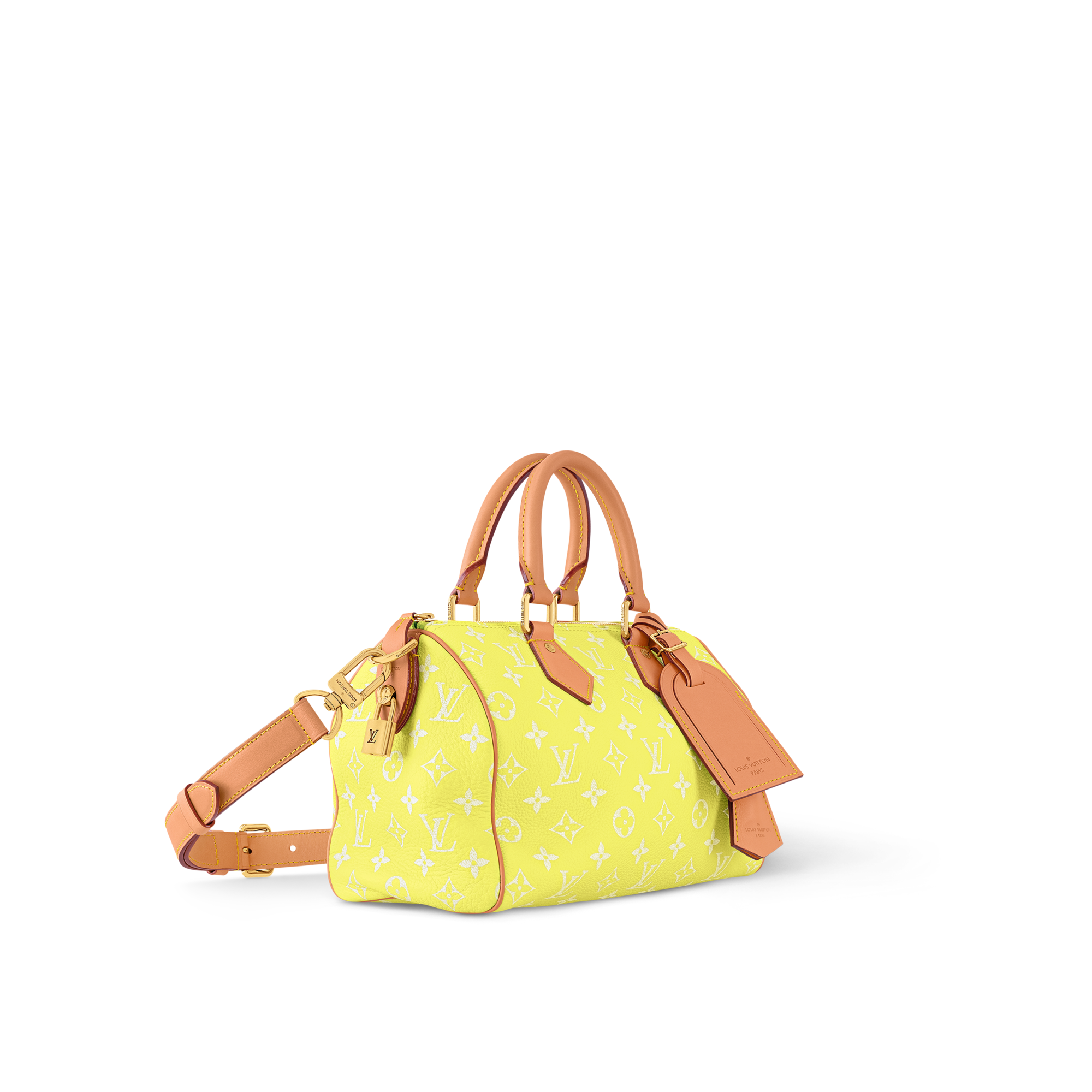 Bolsa Speedy P9 Bandoulière 25 H40 - Bolsas e Artigos de Viagem | LOUIS ...