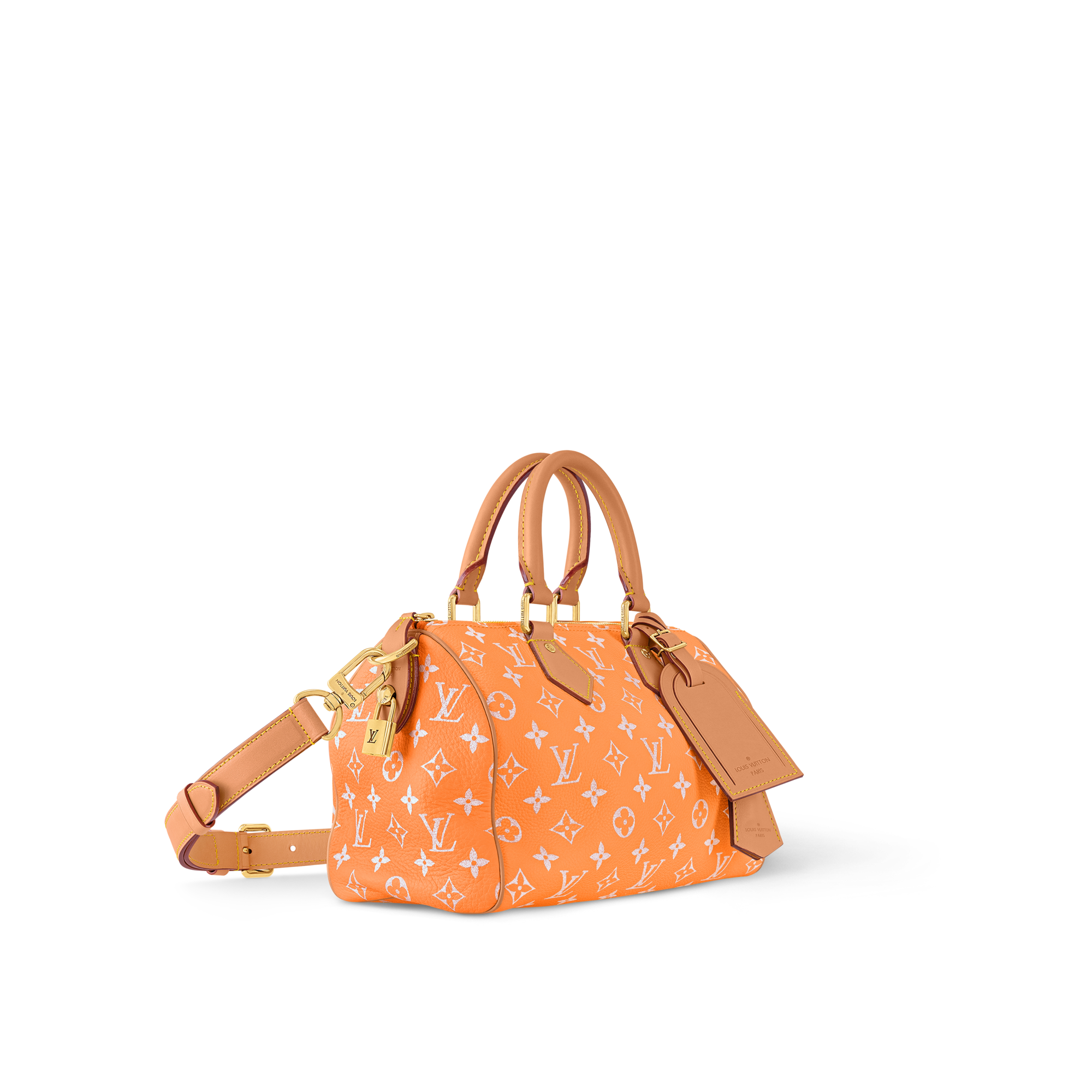 Bolsa Speedy P9 Bandoulière 25 H40 - Bolsas e Artigos de Viagem | LOUIS ...